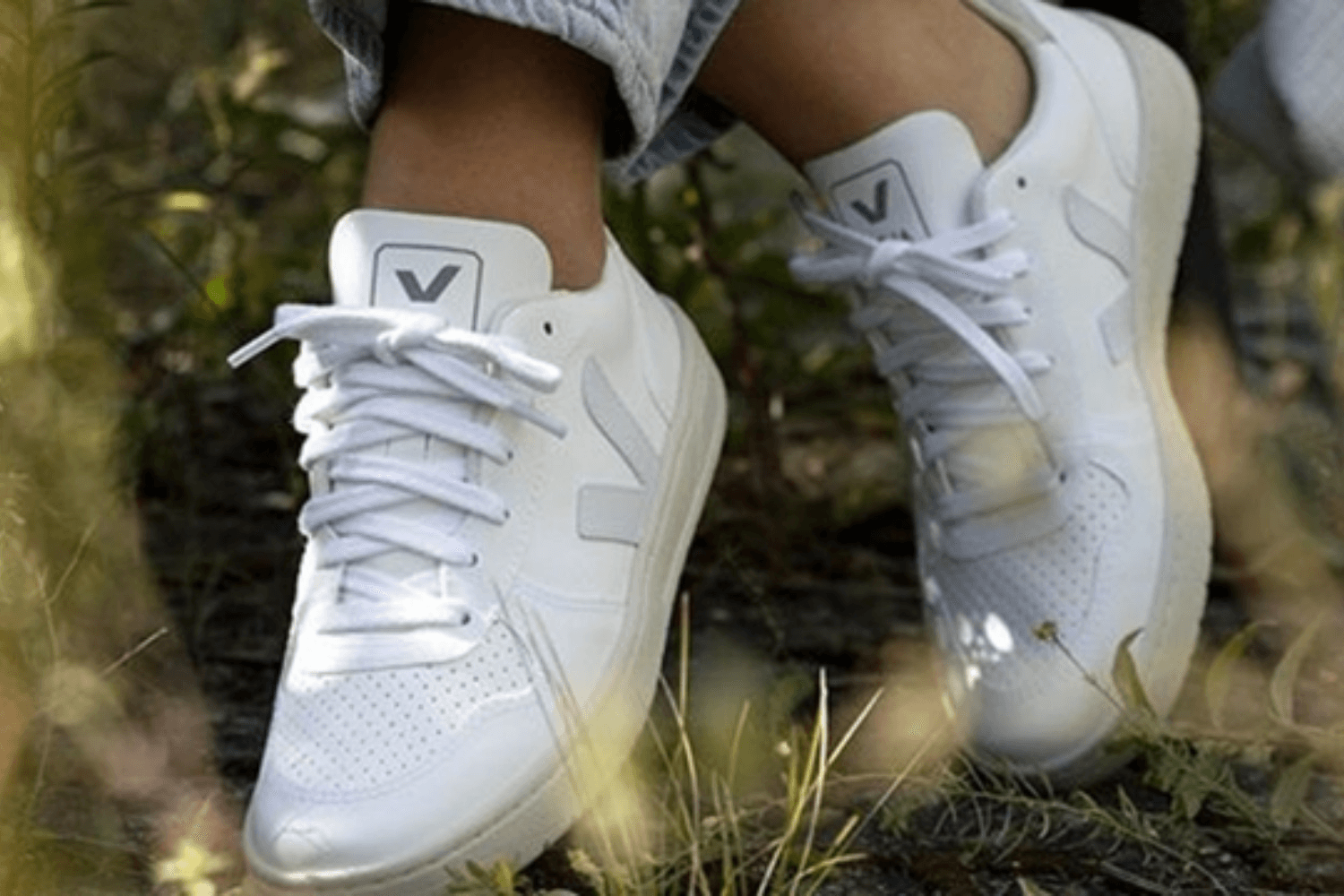 The Ultimate VEJA FAQ