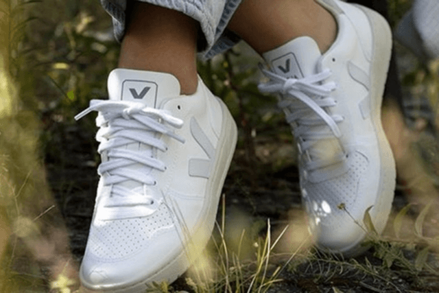 The Ultimate VEJA FAQ